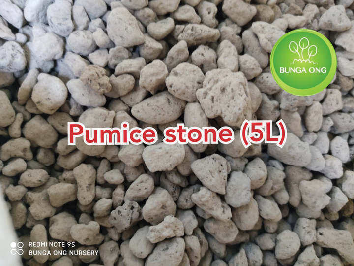 Pumice stone / Batu apung / 浮石 (5L) | Lazada