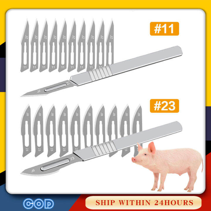 10Pcs 11#/23# Carbon Steel Animal Surgical Scalpel Blade+1Pcs Handle Scalpel DIY Piglet ...