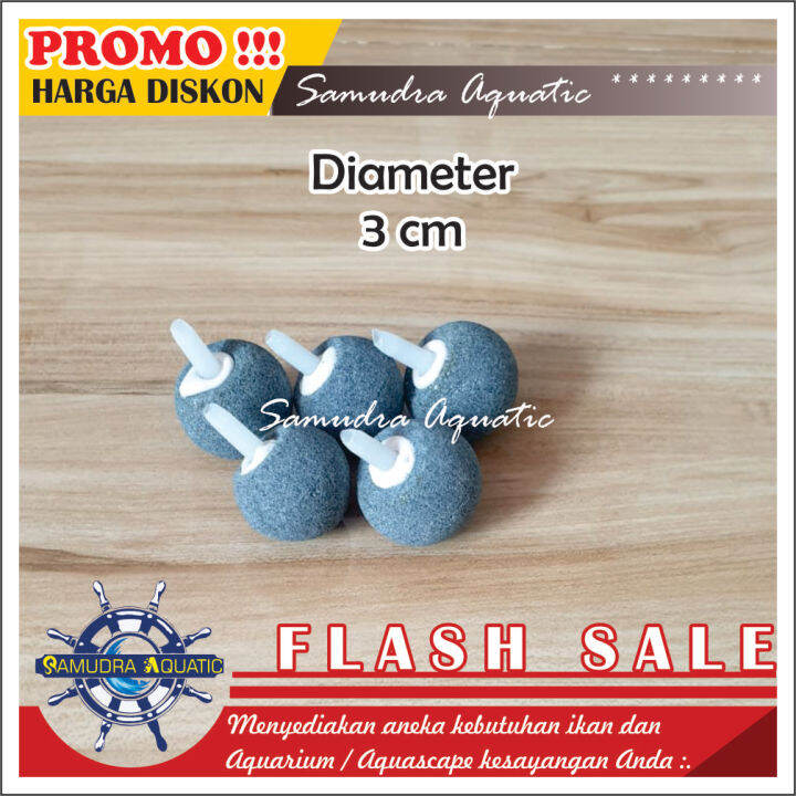 Airstone Batu Aerator BULAT 3CM, Batu Gelembung Batu Aerasi | Lazada ...