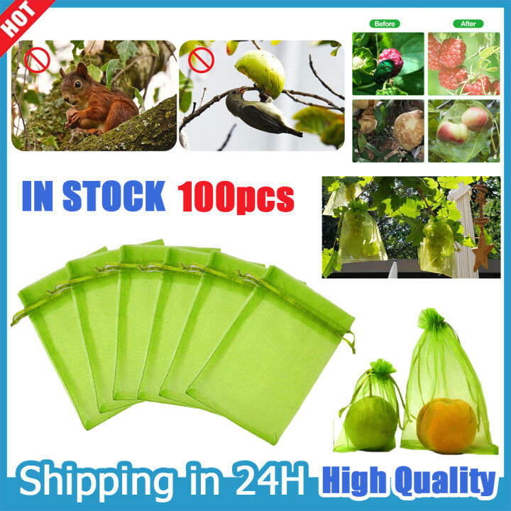 100PCS Fruit Protection Netting Bags For Fruit Trees, Garden Mesh ...