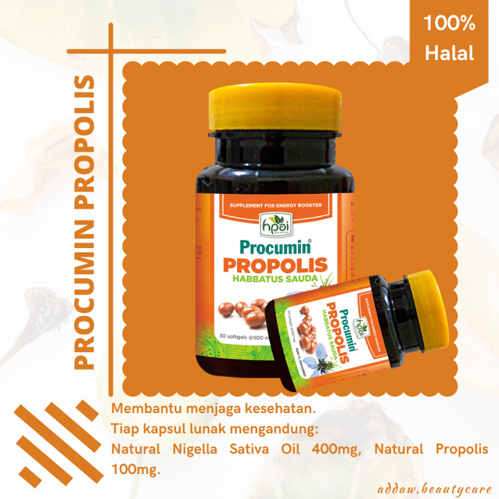 PROCUMIN PROPOLIS // HNI HPAI | Lazada Indonesia