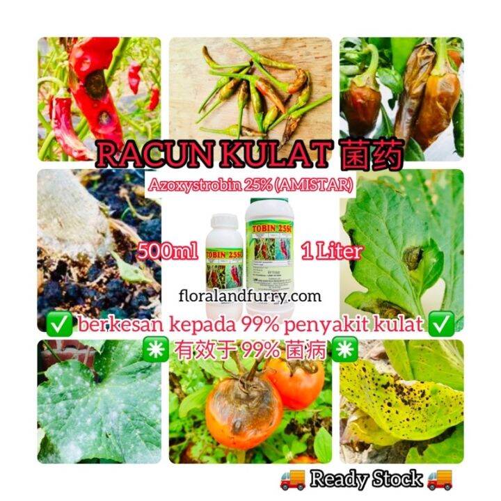 Tobin 25SC Racun Kulat Fungicide Azoxystrobin 25% Amistar Racun ...