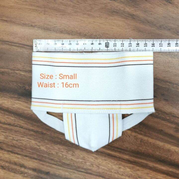 Baby Supporter brief for Hernia or Luslos | Lazada PH