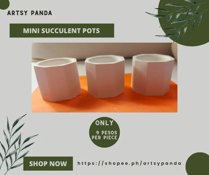 Mini/Tiny/Small Plain Octagon Pots for Baby Cactus and Succulents ...