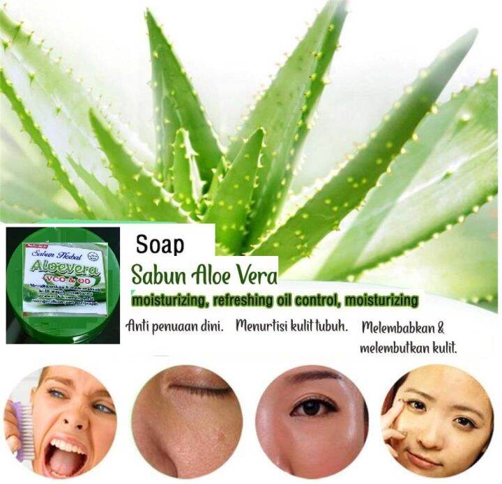 sabun aloevera aloe vera gel lidah buaya alovera muka batangan mandi ...