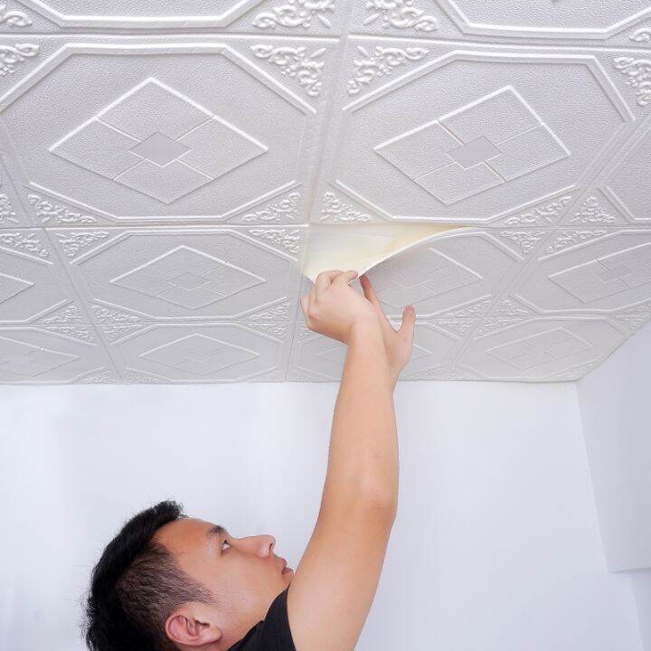 【Ready Stock】 Ceiling Wall Sticker Self-adhesive 3d Stereo Foam Board ...