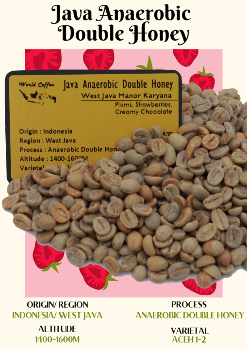 พร้อมส่ง เมล็ดกาแฟ Java Anaerobic Double Honey process/ เมล็ดกาแฟนอก/ สารกาแฟอินโดนีเซีย ...