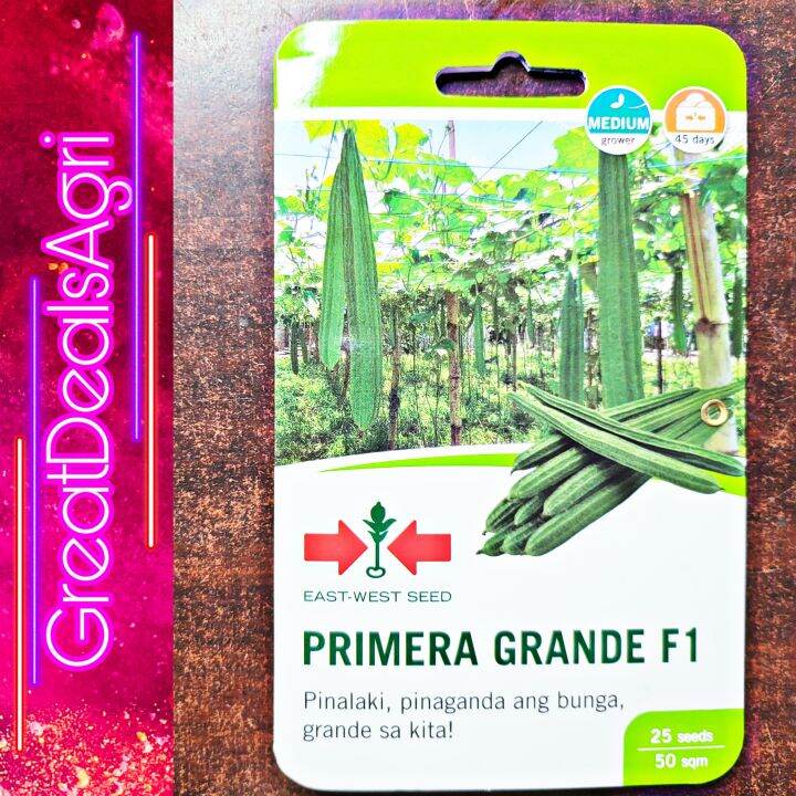 PRIMERA GRANDE F1 HYBRID PATOLA (25 SEEDS) EAST WEST SEEDS | Lazada PH