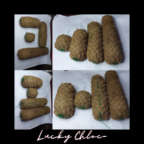 100% Made Coconut Wattles for Hanging Plants & Orchids | Lazada PH