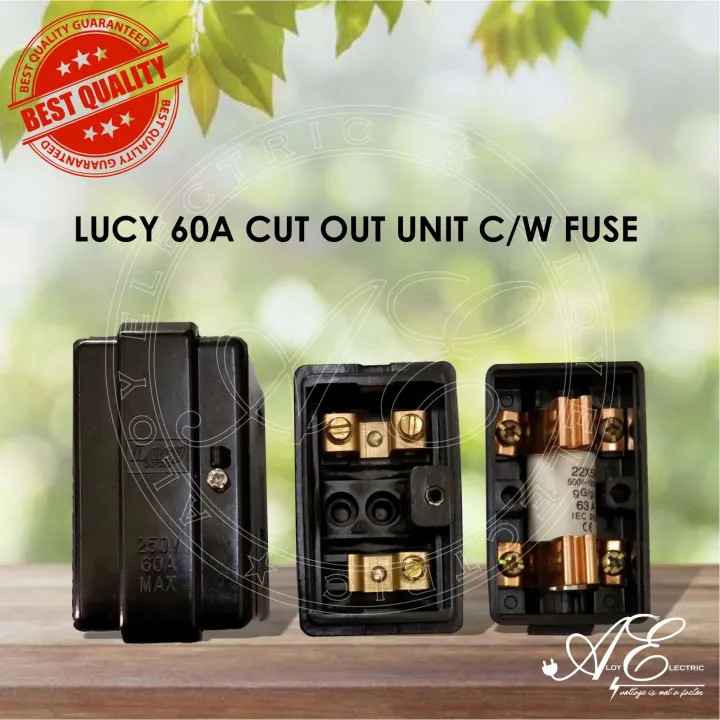 LUCY CUT OUT FUSE 60A / 100A | Lazada