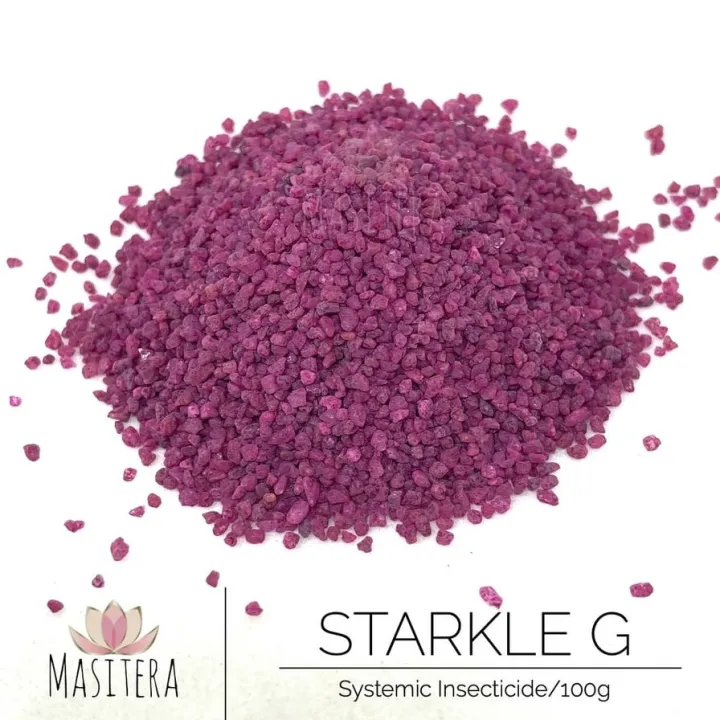 Starkle G 100g by MASITERA | Lazada PH