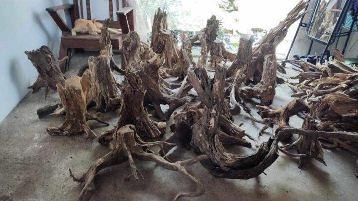 DRIFTWOOD - Tree Stump Design Collection by selection [For aquascaping ...