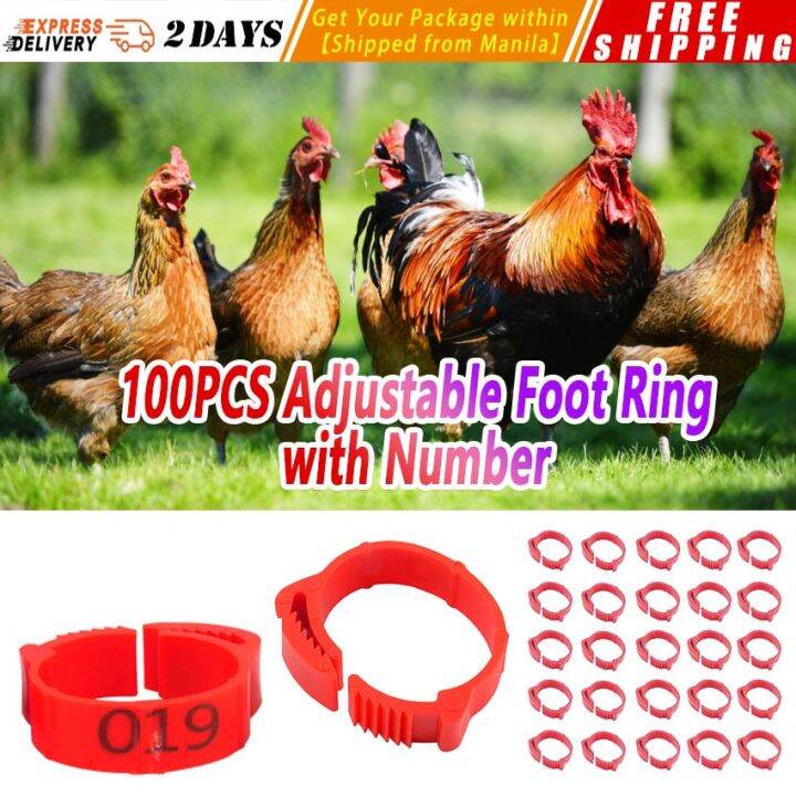 【100PCS Adjustable Foot Ring / with Number】Chicken Inner Diameter 18 ...