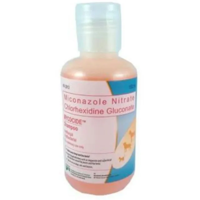 Mycocide Shampoo antifungal and antibacterial for Dog & Cat | Lazada PH