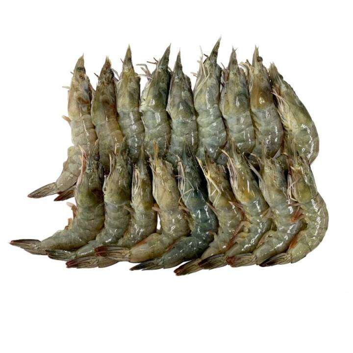 Frozen White Shrimp "Suahe" Large (450-500g) | Lazada PH