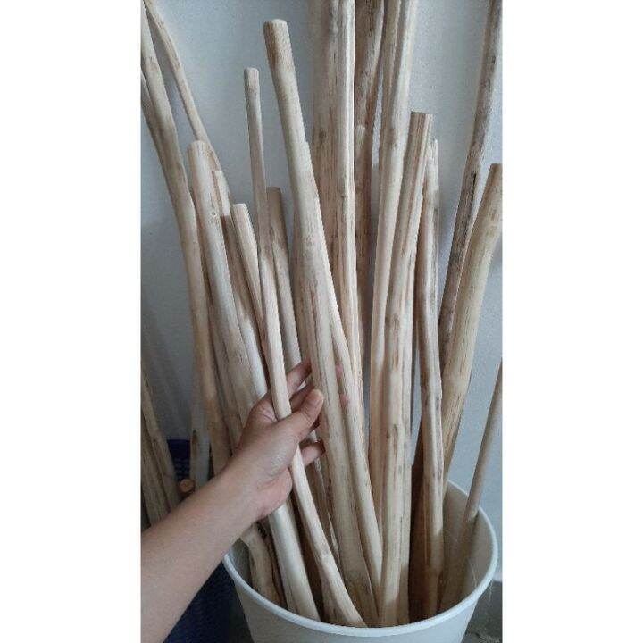 Ranting kayu jati ,kayu macrame mantapp ukuran 50 cm | Lazada Indonesia