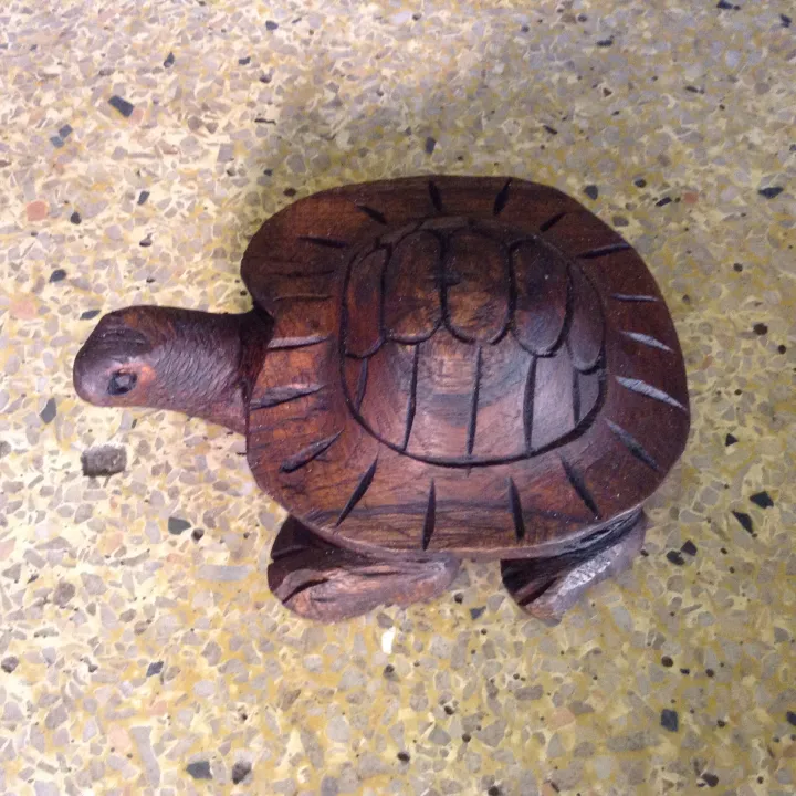 เต่าไทย เต่าไม้สัก เต่าไม้แกะสลัก เต่าไม้ เต่าน้ำจืด เต่าทะเล เต่าบก ...