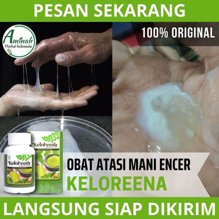 100% Kapsul Daun Kelor - Obat Air Mani Encer, Obat Alami Mengatasi Mani Encer, Obat Pengental ...