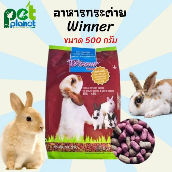 [500 g.] อาหารกระต่ายWinner(วินเนอร์) อาสำหรับ กระต่าย และ หนูตะเภา ...