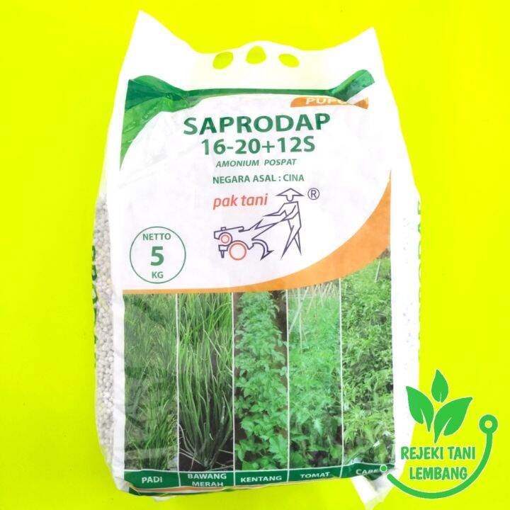 PUPUK SAPRODAP 5 KG AMONIUM POSPAT | Lazada Indonesia