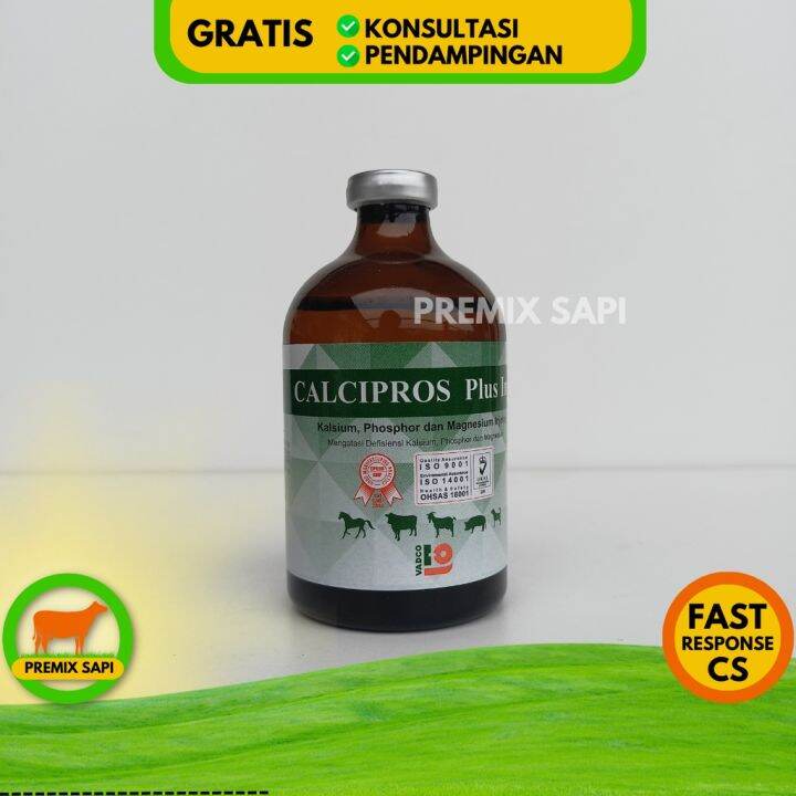 CALCIPROS PLUS INJ 100ML - Obat ambruk sapi kambing domba kekurangan ...