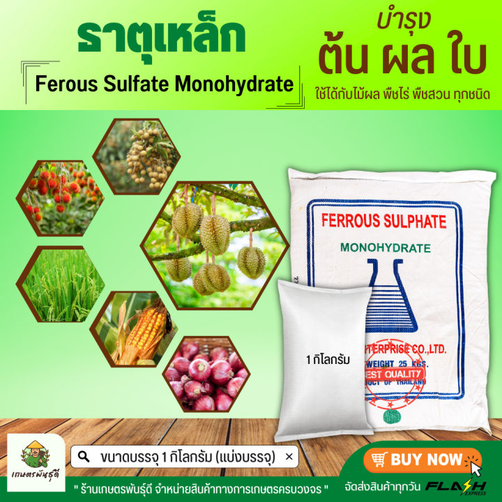 ผงจุลธาตุเหล็ก Ferous Sulfate Monohydrate FeSO4.H2O (30%Fe) บรรจุ 1 กิโลกรัม | Lazada.co.th