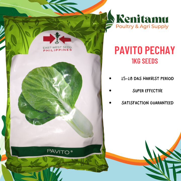 PAVITO PECHAY SEEDS 1KG BY: EAST-WEST SEED PHILIPPINES | Lazada PH