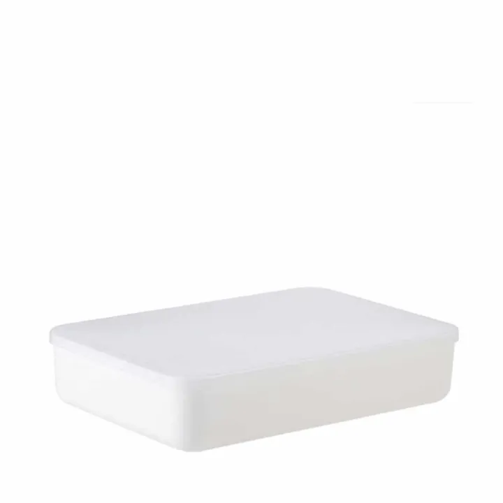 Makeroom Large Flat Storage Box | Lazada PH