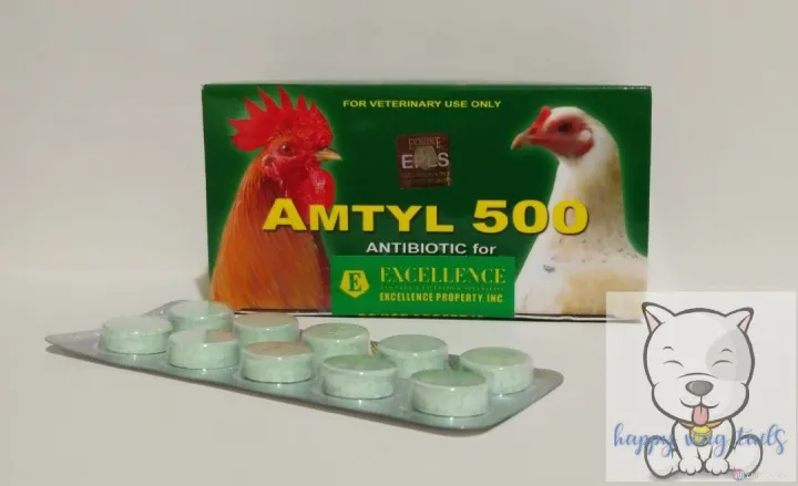 AMTYL 500 | Lazada PH