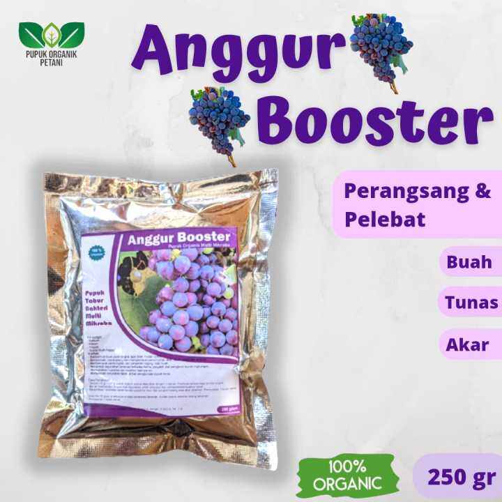 Pupuk Anggur Pelebat Organik Booster Buah agar cepat berbuah lebat cocok untuk anggur cangkok ...