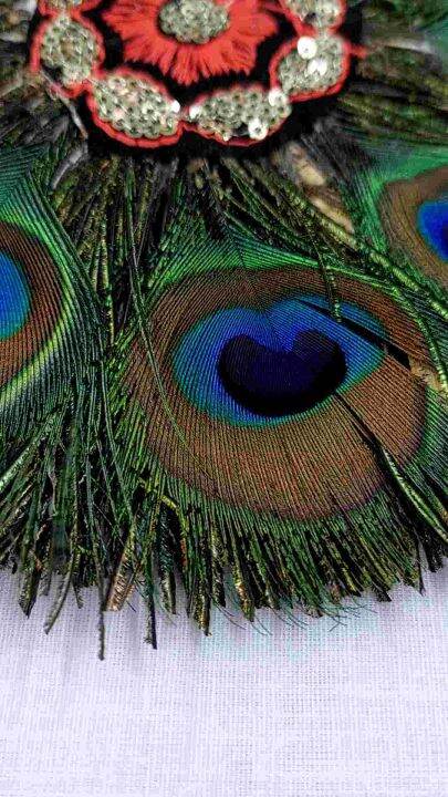 Original Peacock Feather Fan Decoration Merak | Lazada