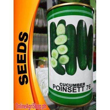POINSETT 76 (100 GRAMS) OPV CUCUMBER BY CONDOR SEEDS | Lazada PH