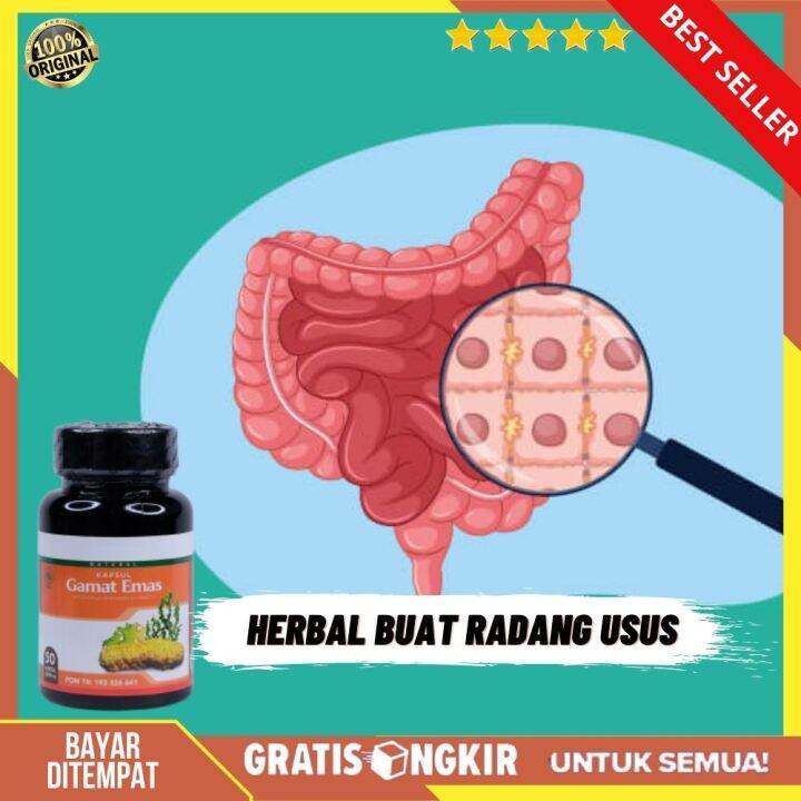 Obat Buat Sakit Radang Usus || Obat Penyakit Usus Buntu, Luka Usus ...