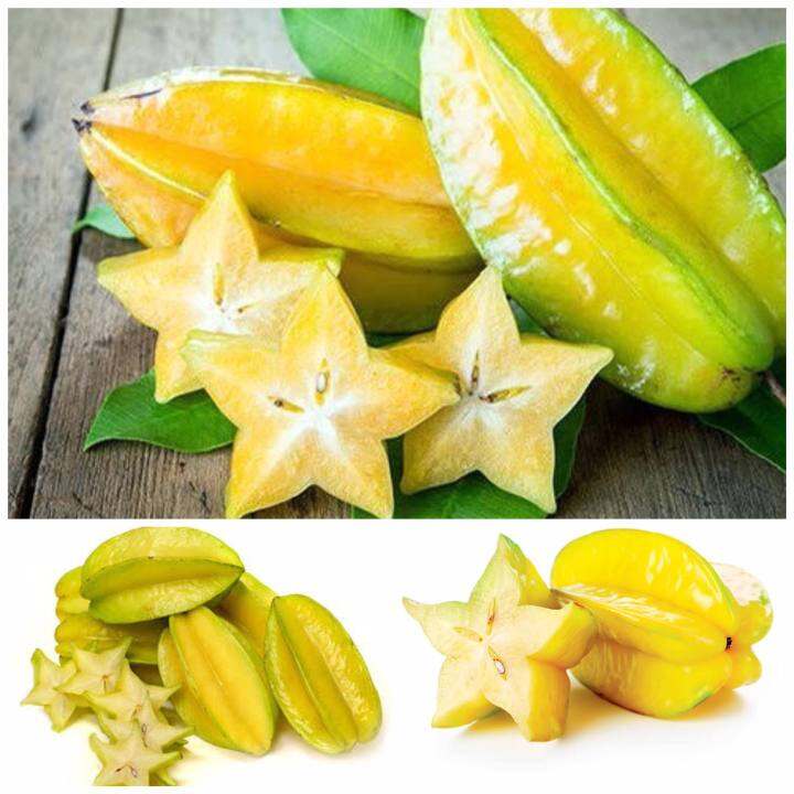 Binhi Balimbing Carambola Star Fruit 5 Seeds Outdoor Garden Plant ...