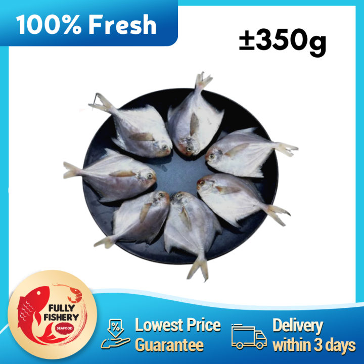 [Fully Fishery] Clean Bai Chang Mini (± 350gm/pkt) | Lazada