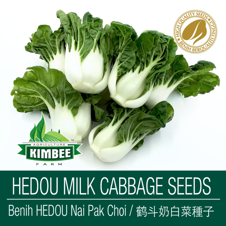 100pcs Hedou Nai Bok Choy Seeds, Hedou Milk Cabbage, Dwarf Nai Bok Choy ...