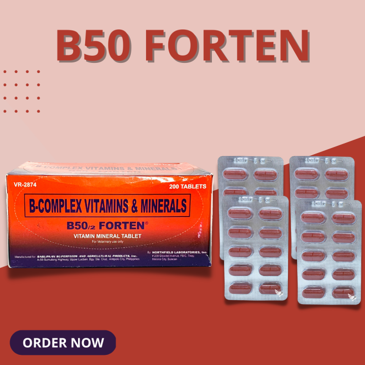 [FCR AGRIVET] 40pcs B50 Forten B-Complex Vitamins & Mineral / Gamefowl ...