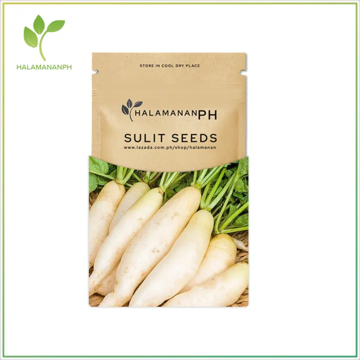 300 SEEDS RADISH - WHITE LABANOS SUPER SULIT VEGETABLE SEED PACK ...