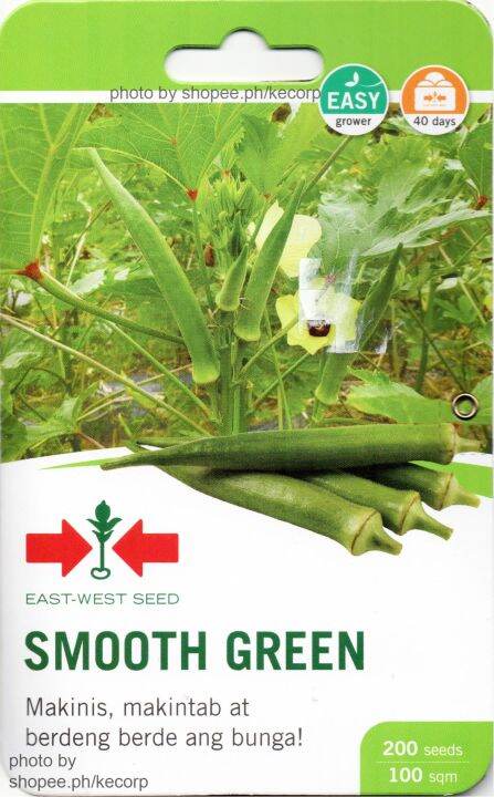 Eastwest Vegetable F1 Smooth Green Okra Approx 200 Seeds (Original ...