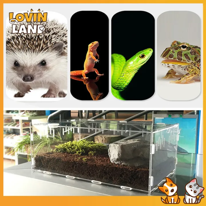 Lovinland Reptile Breeding Box Acrylic Feeding Box Reptile Habitat ...