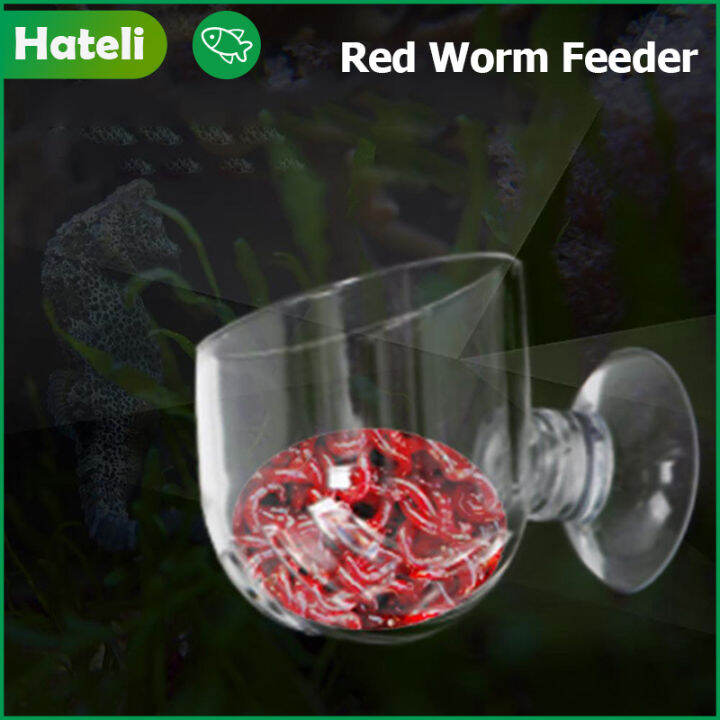 HATELI Red Worm Feeder Clear Acrylic Suction Feeding Cup Fish Tank ...
