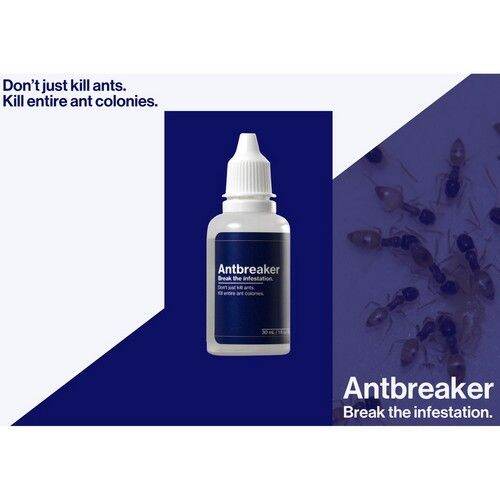 Antbreaker-Borax Based Ant-killer 30ml (Pet Safe) | Lazada Singapore