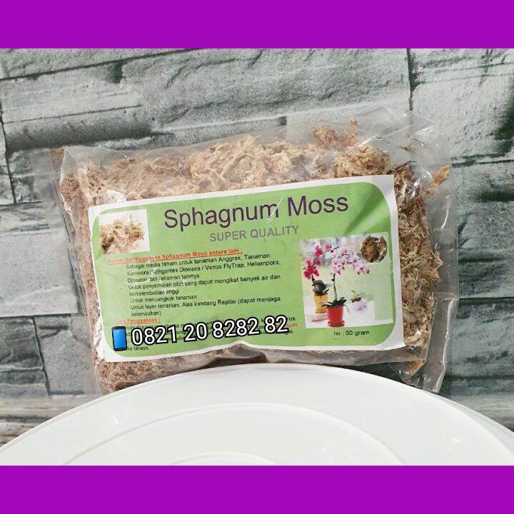 Media tanam tanaman anggrek lumut sphagnum moss berkwalitas 50gr Media ...
