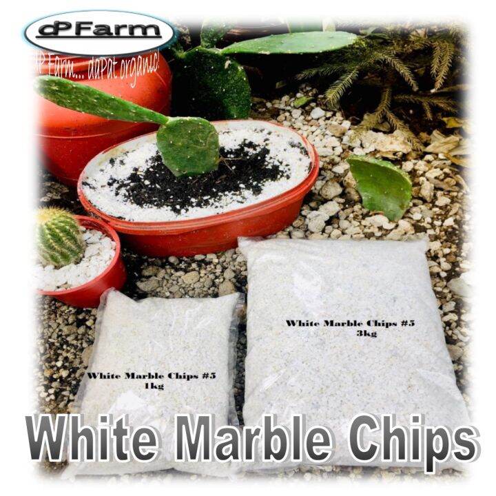 White Marble Chips/Pebbles #5 for Landscaping & Gardening | Lazada PH