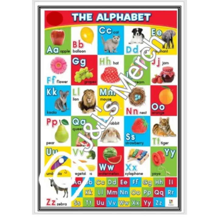 LAMINATED A4 EDUCATIONAL WALL CHARTS | Lazada PH
