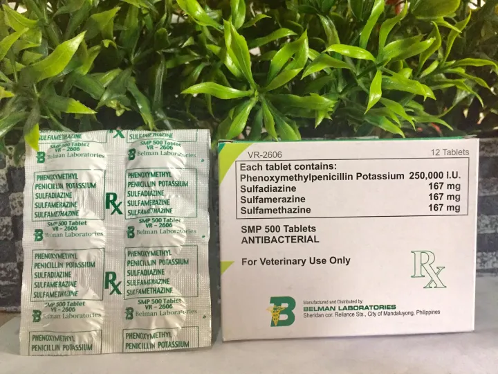 SMP 500 tablets antibacterial (12 tablets) | Lazada PH