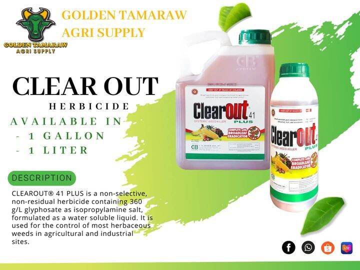 CLEAR OUT 41-PLUS 1L | Lazada PH