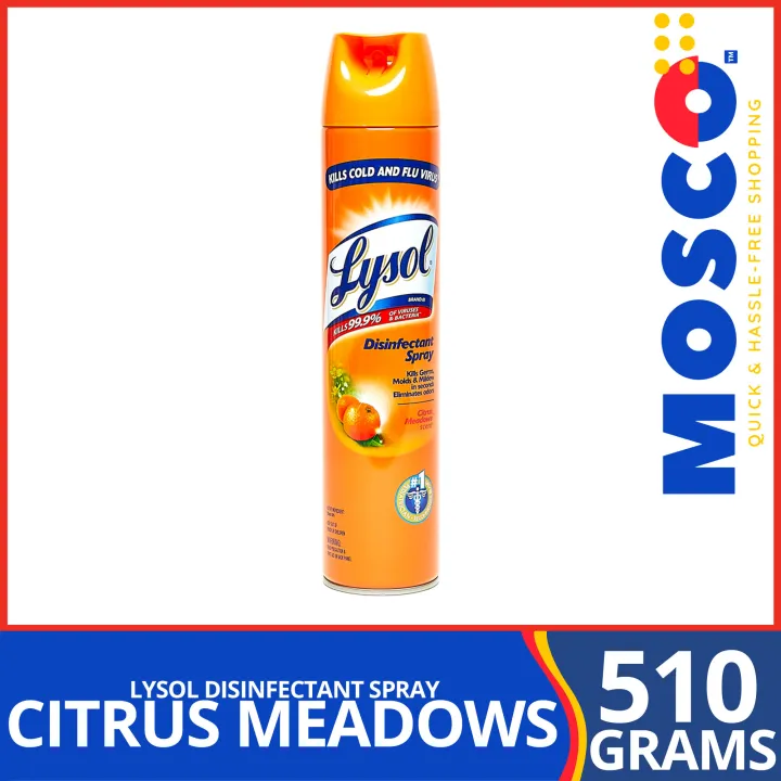 LYSOL Citrus Meadows Scent Disinfectant Spray 510g | Lazada PH