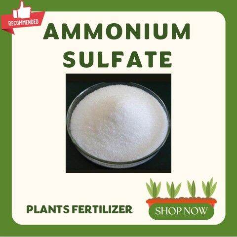 AMMONIUM SULFATE FERTILIZER - 10grams | Lazada PH