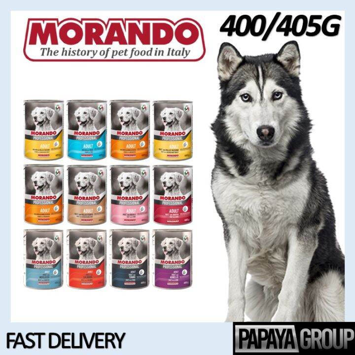 [ PAPAYA GROUP ] Morando Professional Pate/Chunks Dog Canned Food / Dog ...